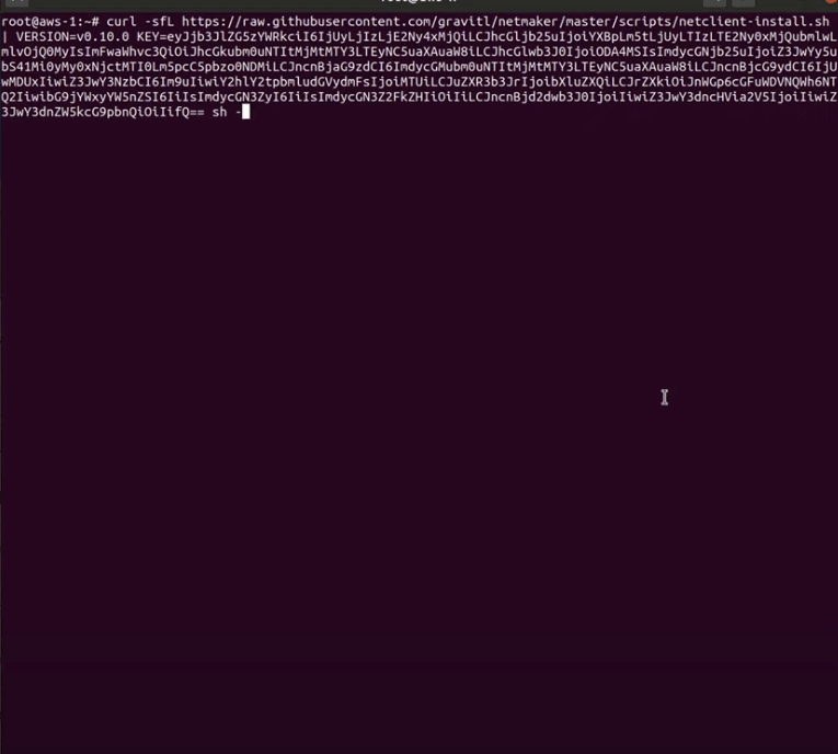 How to use Netmaker v0.10, WireGuard® Virtual Networking Platform