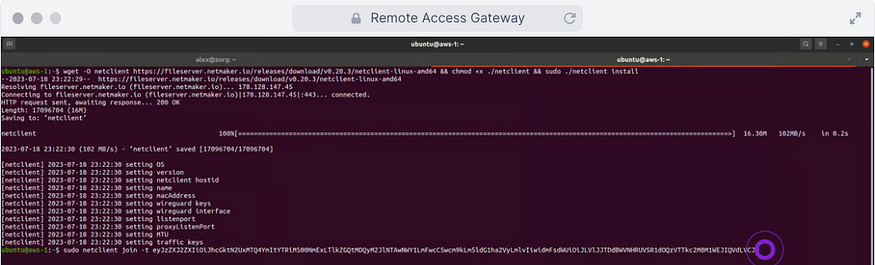 AWS Remote Access VPN with WireGuard