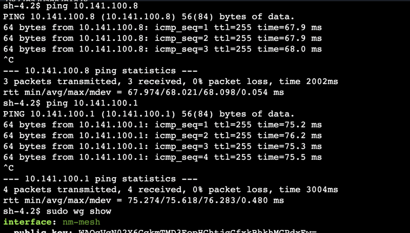 How to implement a Mesh Network on AWS