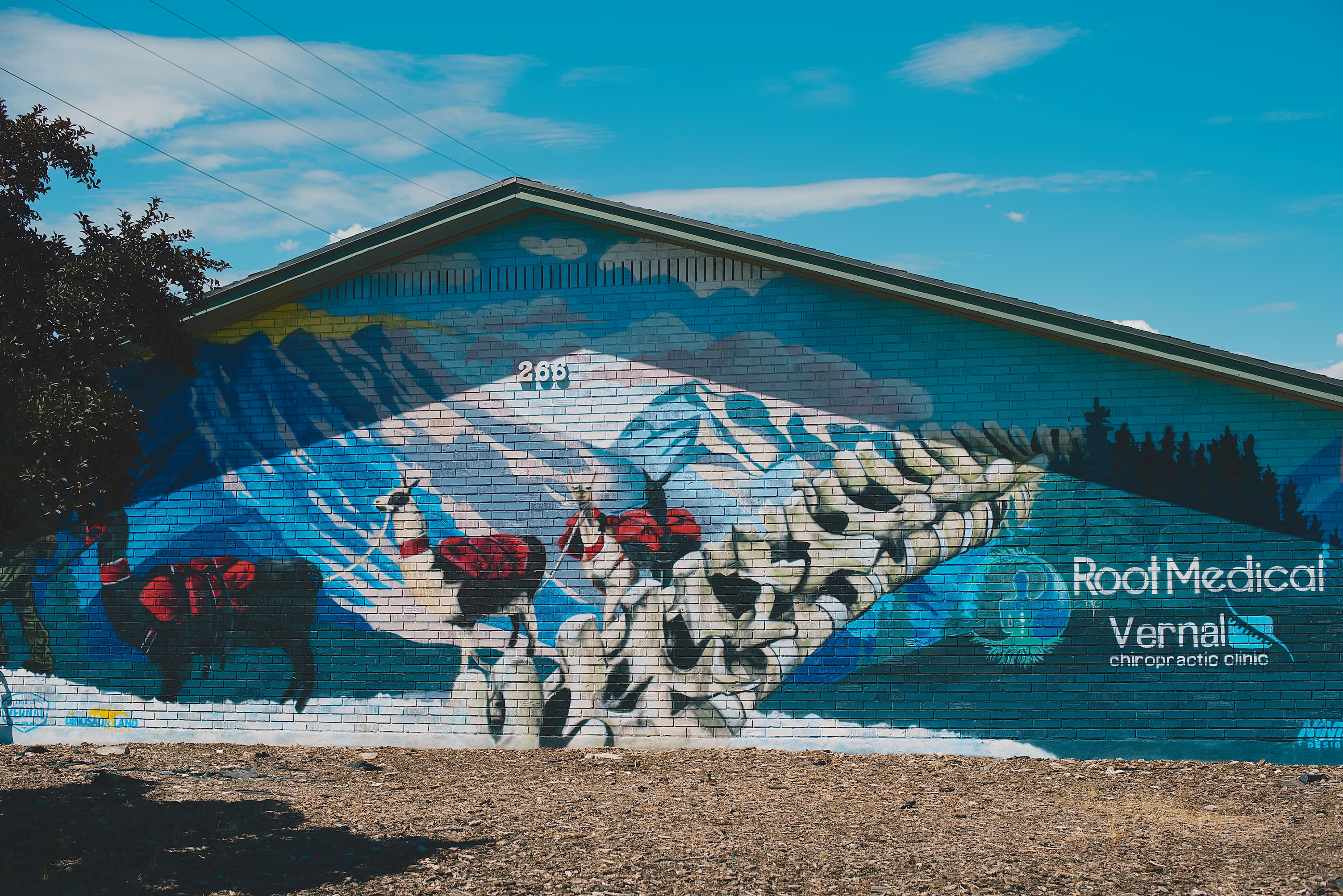 About Us | Root Medical & Vernal Chiropractic | Vernal, UT