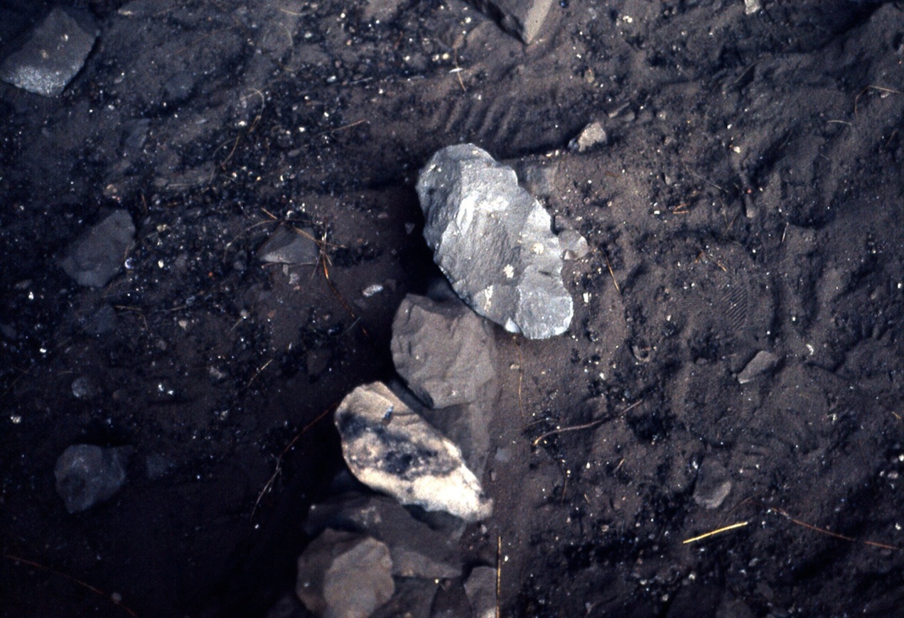 Ancient Weapons May Illuminate Modern Man’s Evolution