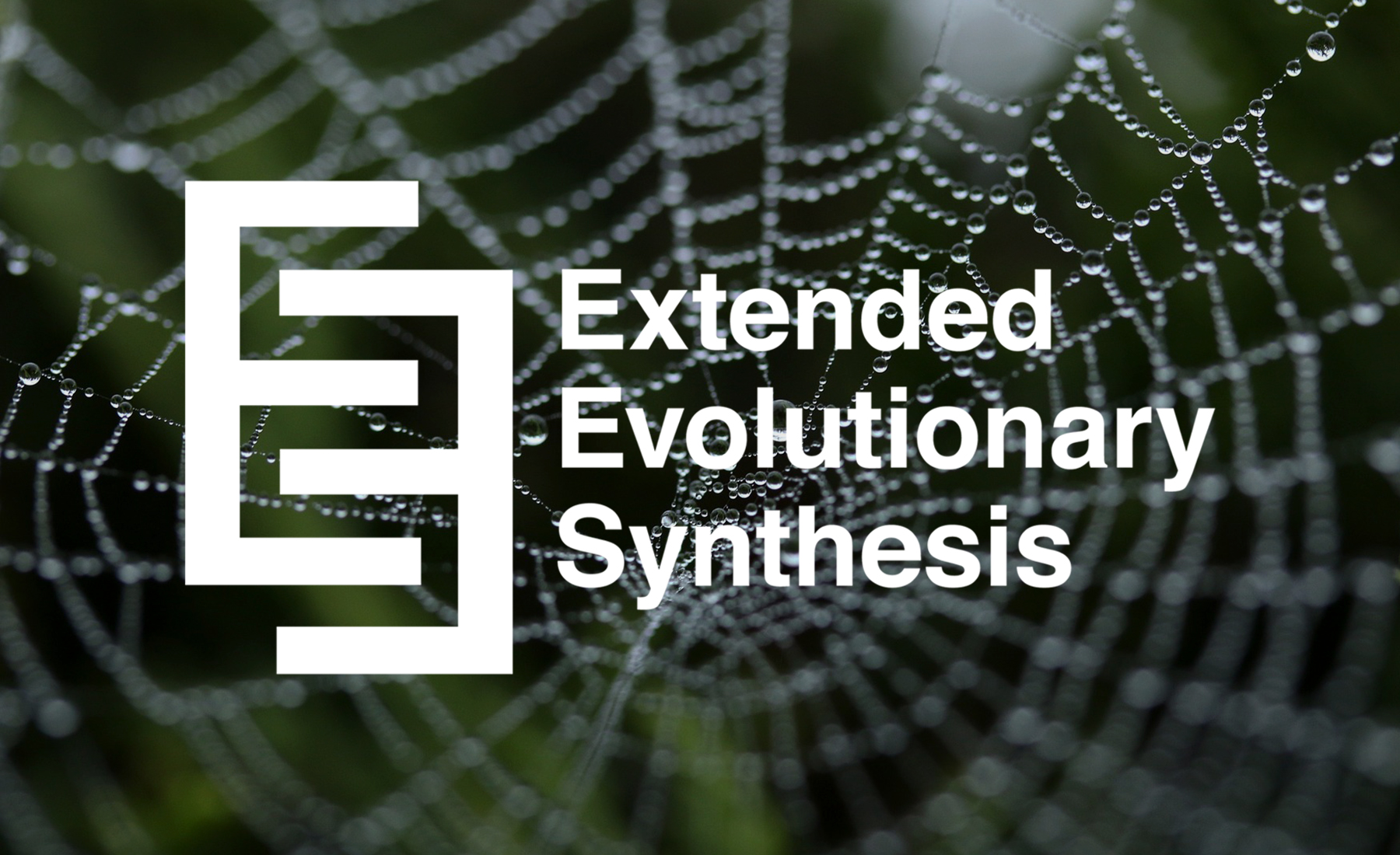 Introducing the EES Update