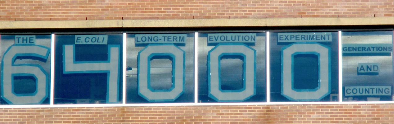 Evolutionary Biology’s Master Craftsman: An Interview with Richard Lenski