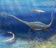 Protorosaur From China Sported Long Snout and Neck