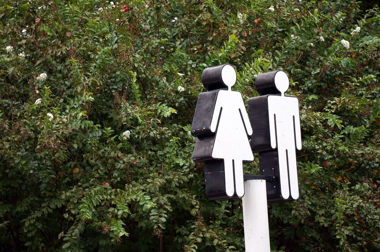 The Gendered Organisation