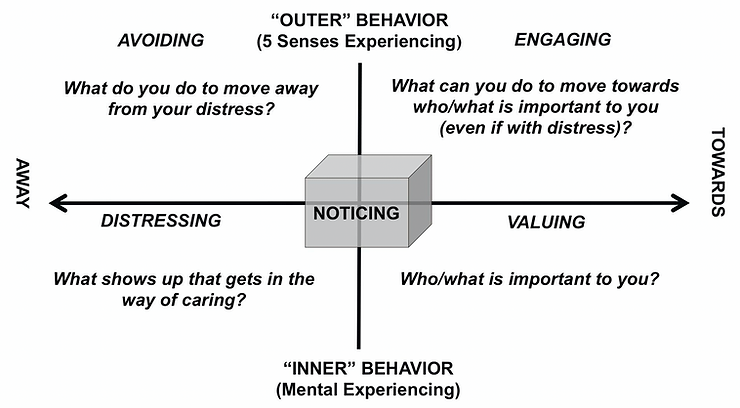 Incorporating the CDPs into the Matrix: Theoretical Implications ...