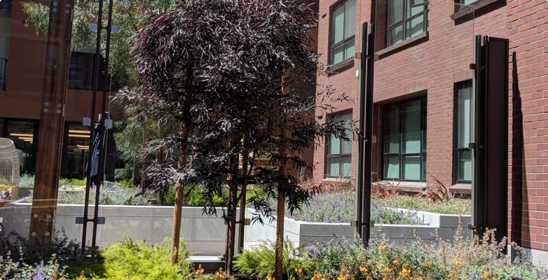 Wake up to the post-lawn dawn: 4 ways multifamily benefits from ...
