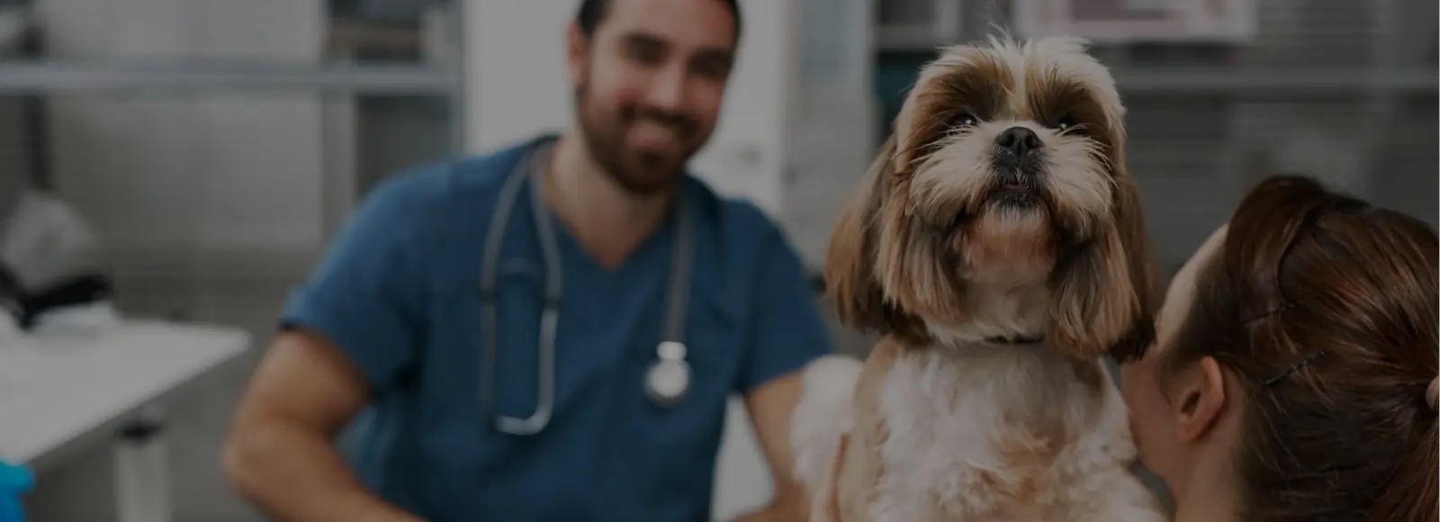 Selling Your Veterinarian Practice to Private Equity: A Guide for Your ...