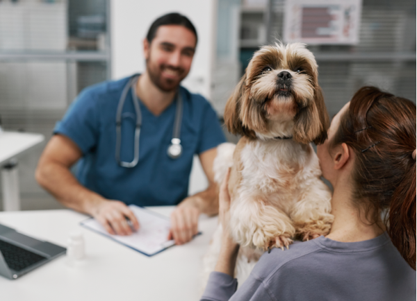 Selling Your Veterinarian Practice to Private Equity: A Guide for Your ...