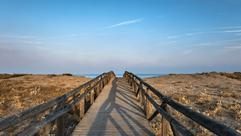 Compassionate Mind Foundation