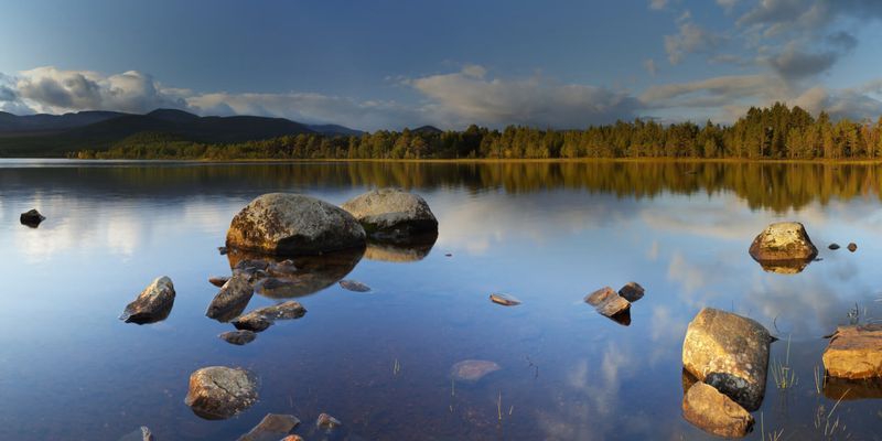 Compassionate Mind Foundation