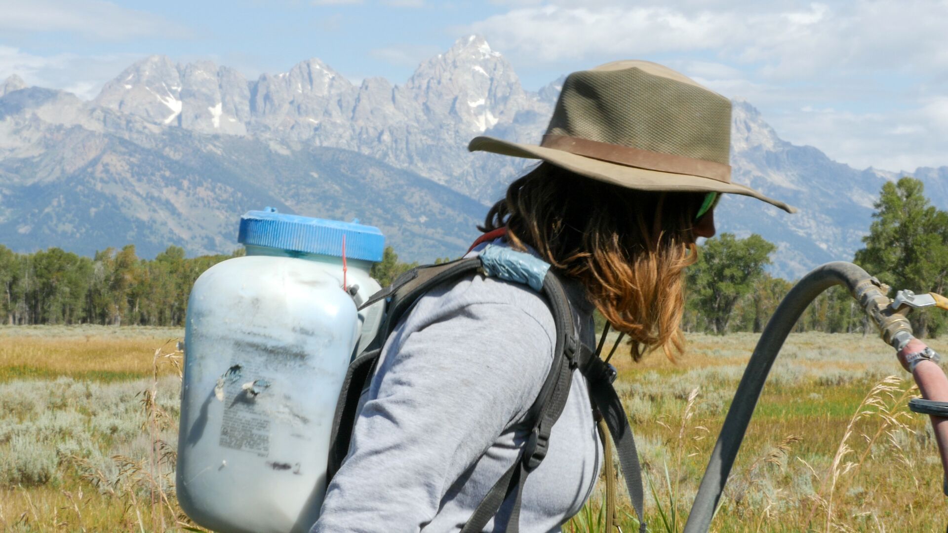 Teton County Wyoming Weed & Pest