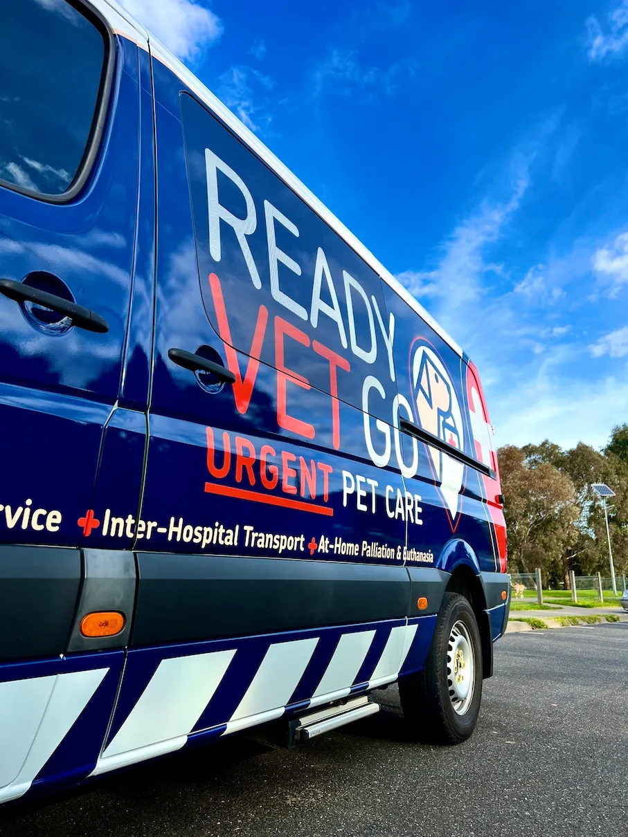 Melbourne's Emergency Pet Ambulance & Mobile Vet | At-Home Pet Care