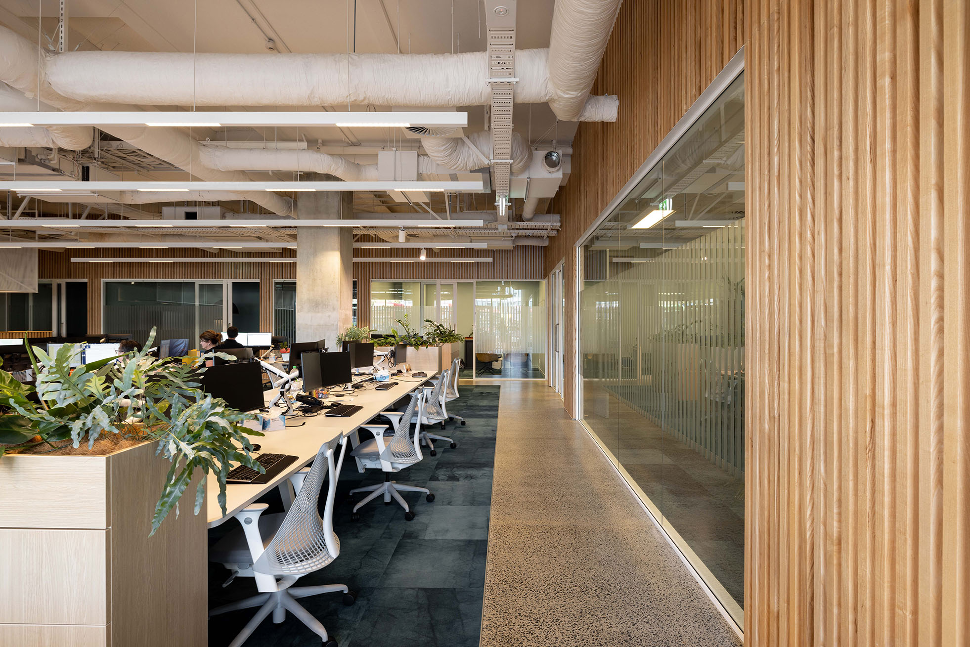 New Zealand Bus Offices Project | Project | Featurecraft