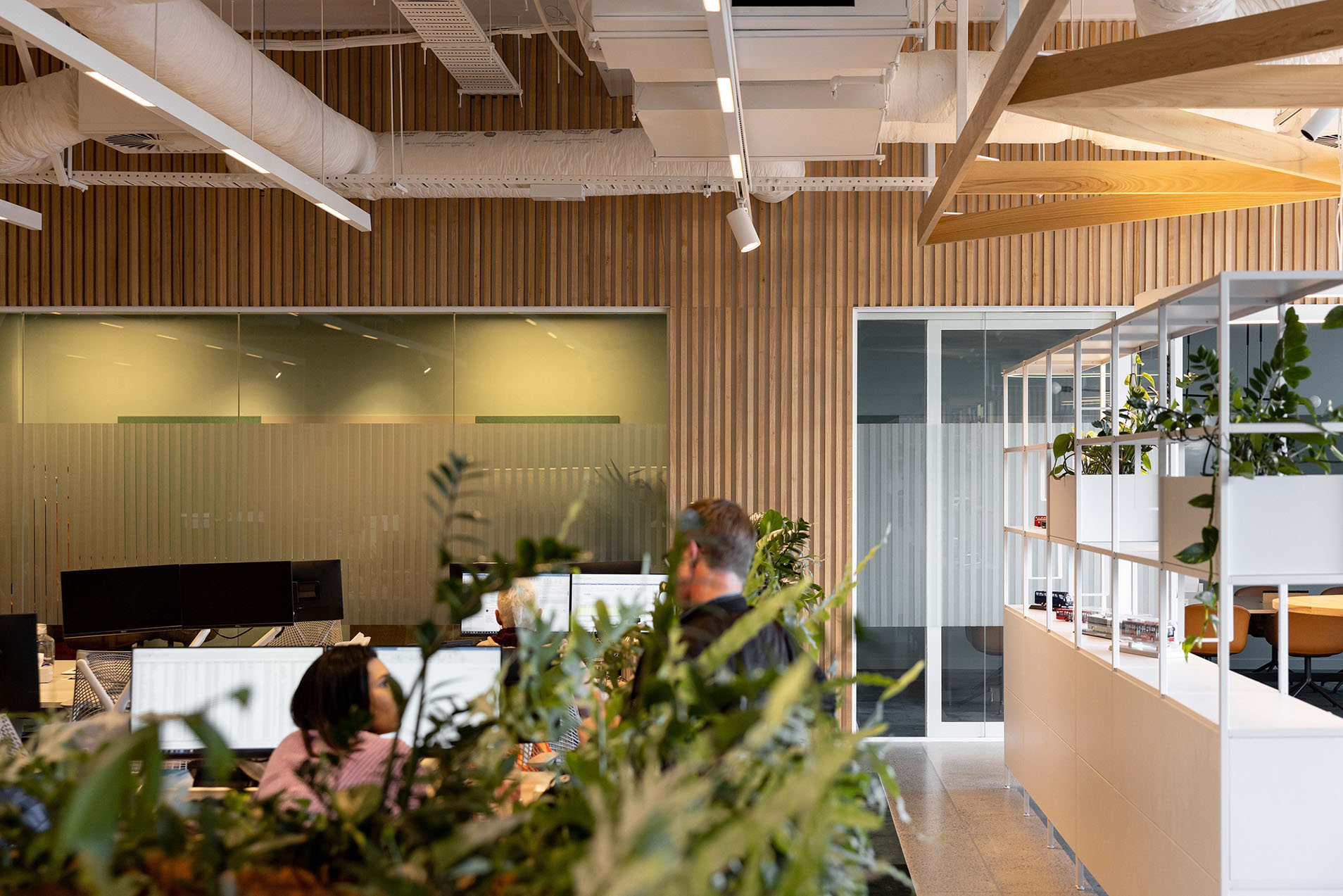 New Zealand Bus Offices Project | Project | Featurecraft