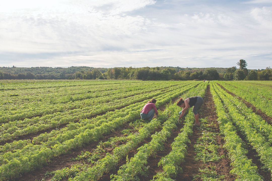 Farmland - Maine Farmland Trust