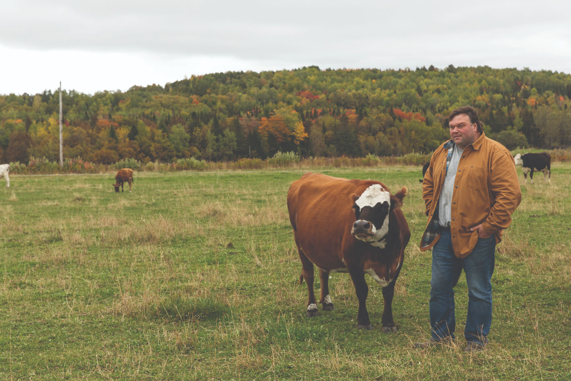 Steward Your Protected Farm - Maine Farmland Trust