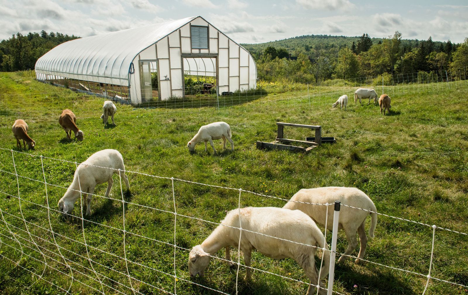 Farmers - Maine Farmland Trust
