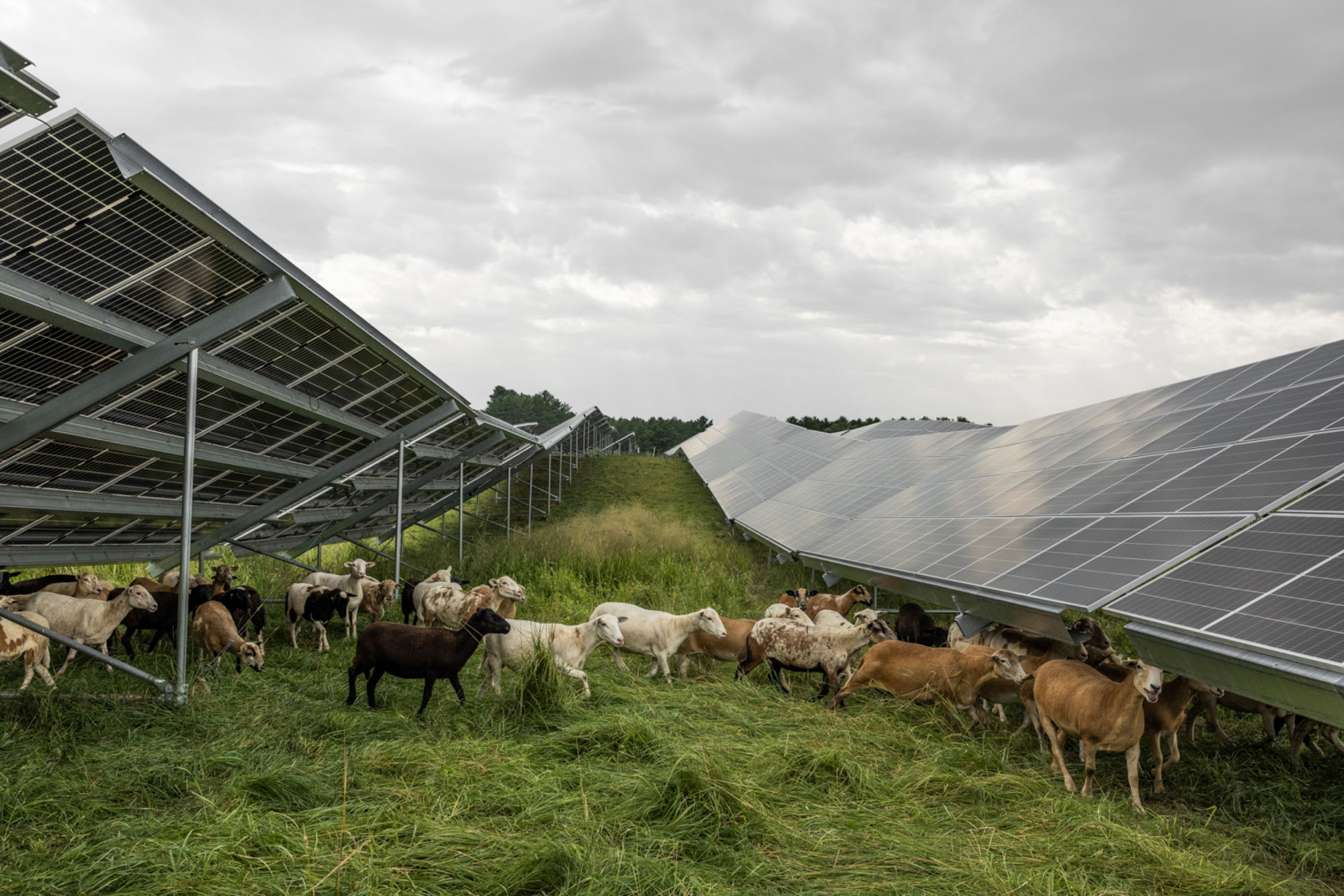 Research - Maine Farmland Trust