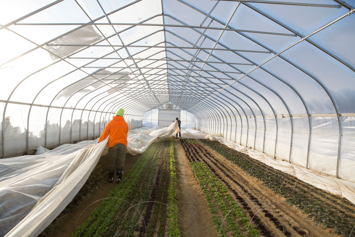 About Us - Maine Farmland Trust