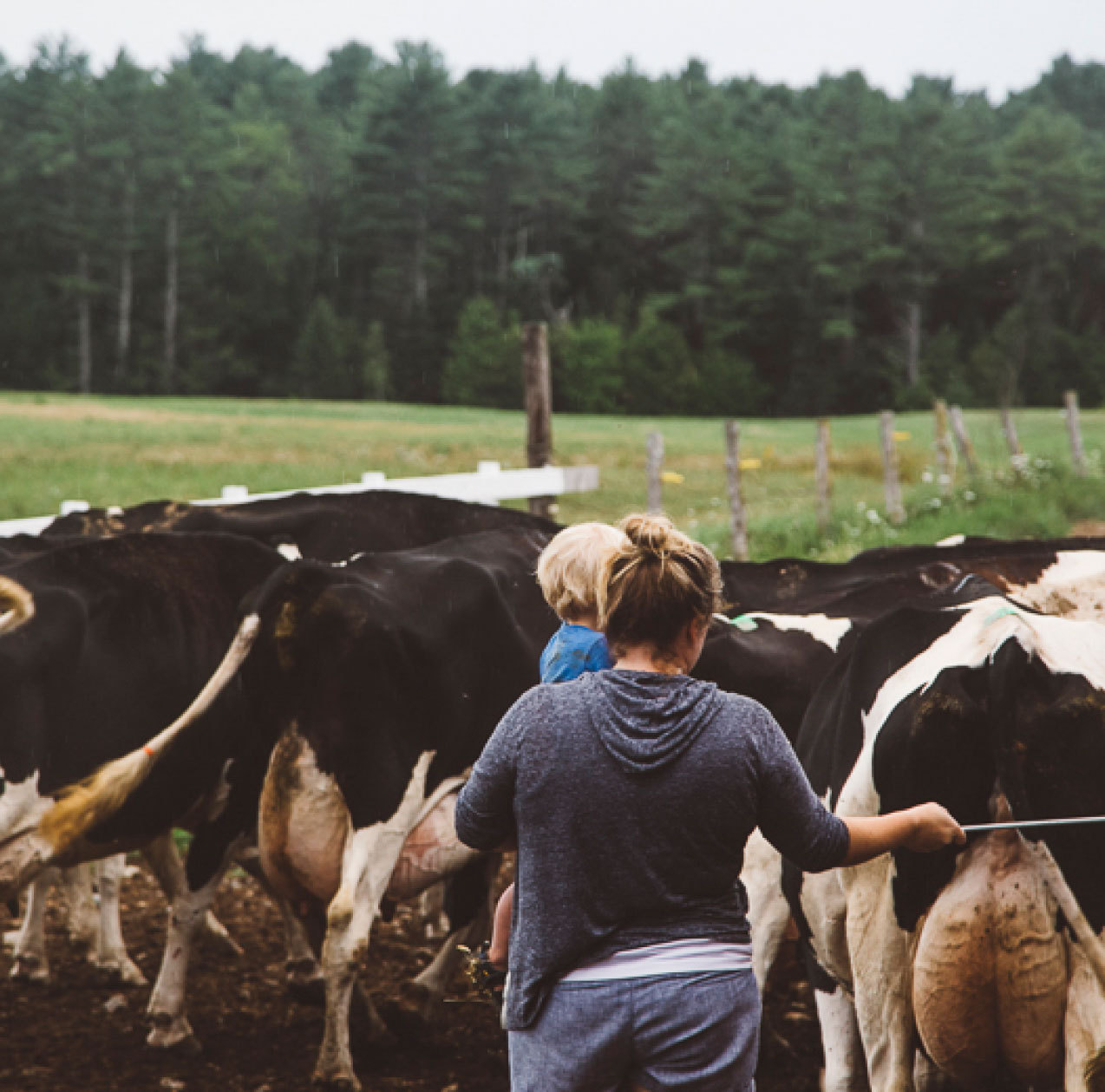 About Us - Maine Farmland Trust