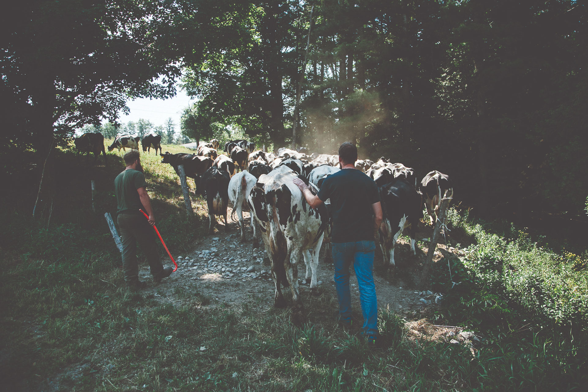 Join Our Community - Maine Farmland Trust