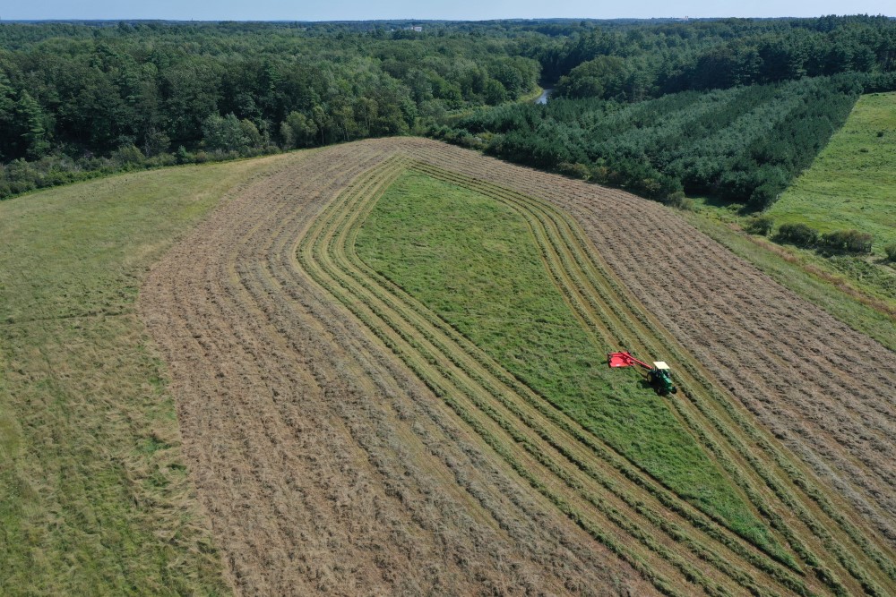 Climate Impact Assessment