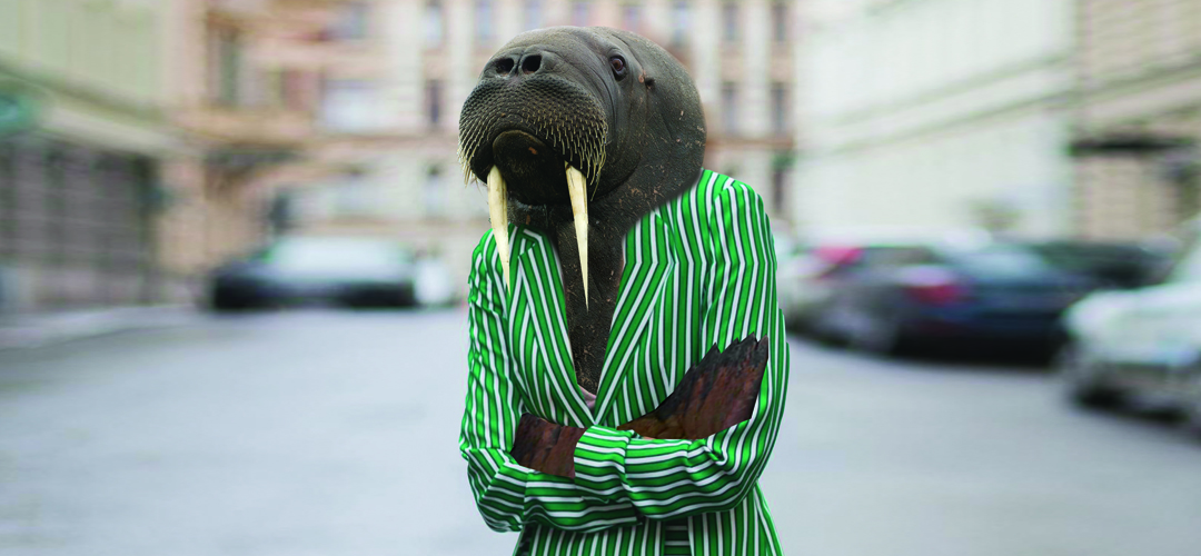 Kylteri 1/21 – Kuinka voit, mursu?