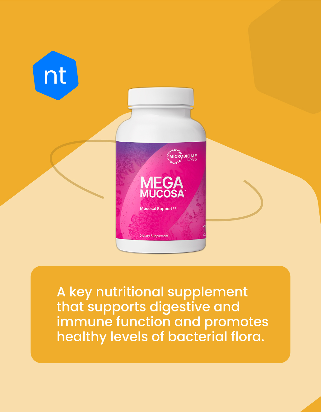 Physical | Brain Training Designed for Everyone