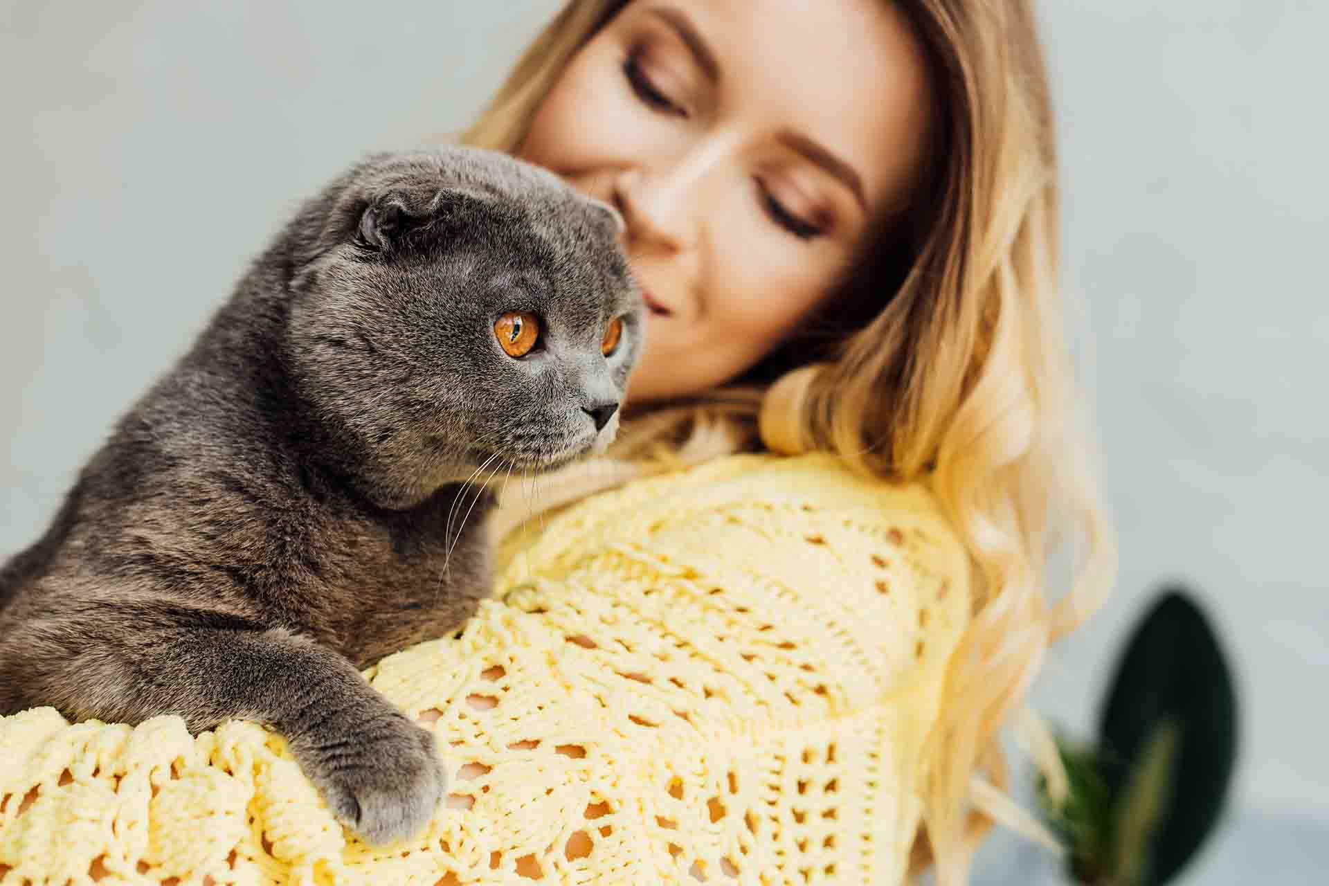 Frequently Asked Questions | Petscriptions