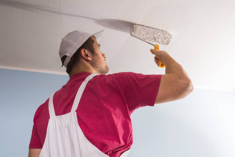 How To Paint Popcorn Ceiling | Tera Painting