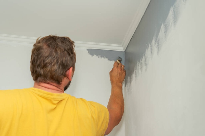 How to cut in a ceiling while painting | Tera Painting