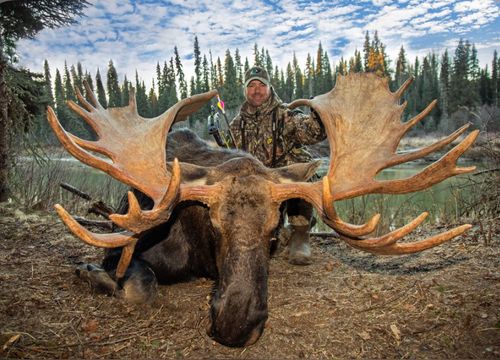Moose Hunting - Shoshone Adventures
