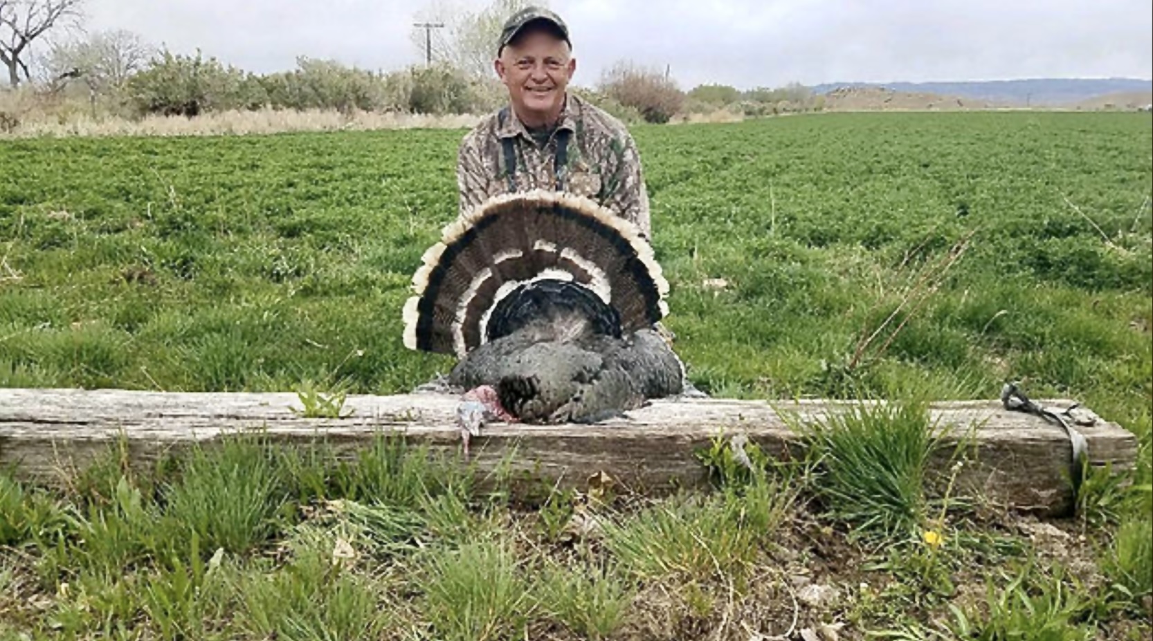 Colorado Merriam Turkey Hunt in Grand Junction, Colorado, USA ...