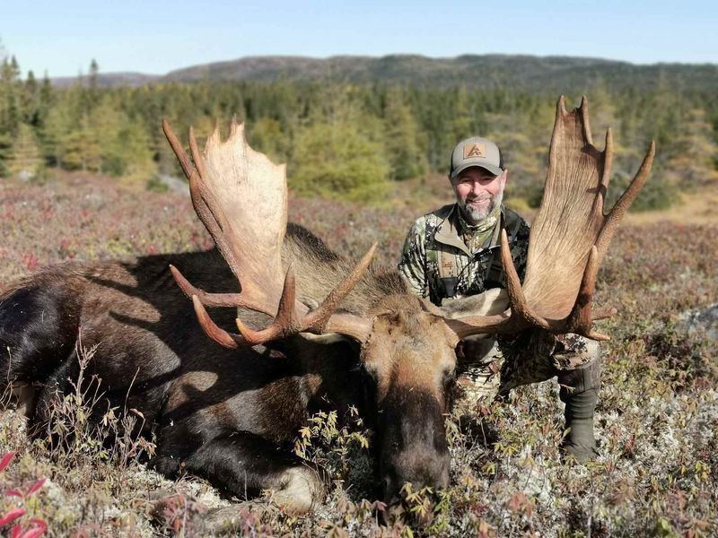 Moose Hunting - Shoshone Adventures