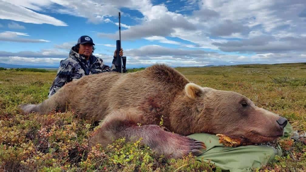 Brown Bear: Alaskan Coastal Brown Bear Hunting - Shoshone Adventures