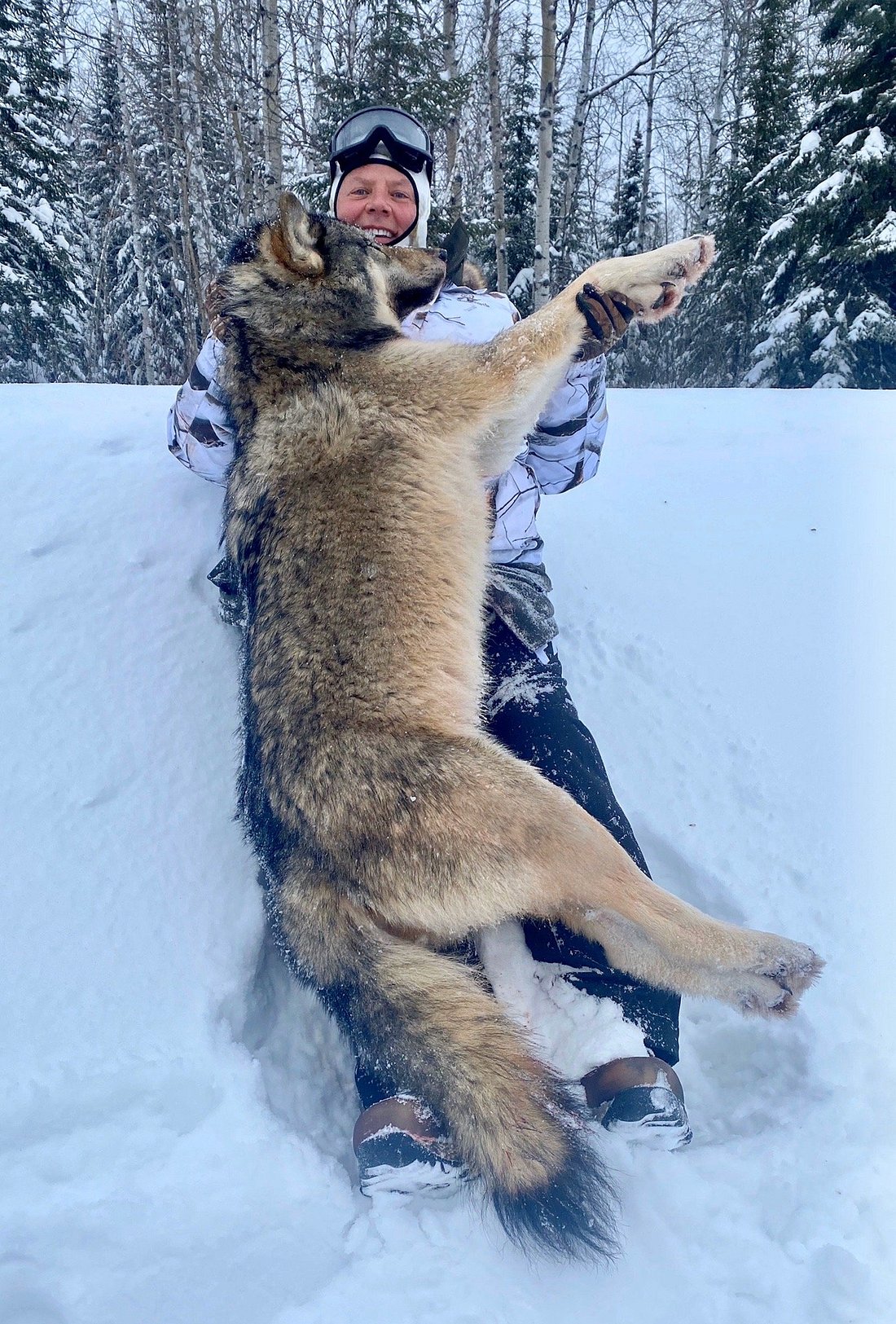 North American Grey Wolf Hunting - Shoshone Adventures