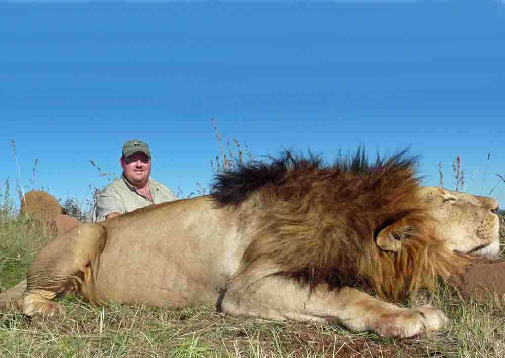 African Lion Hunting - Shoshone Adventures