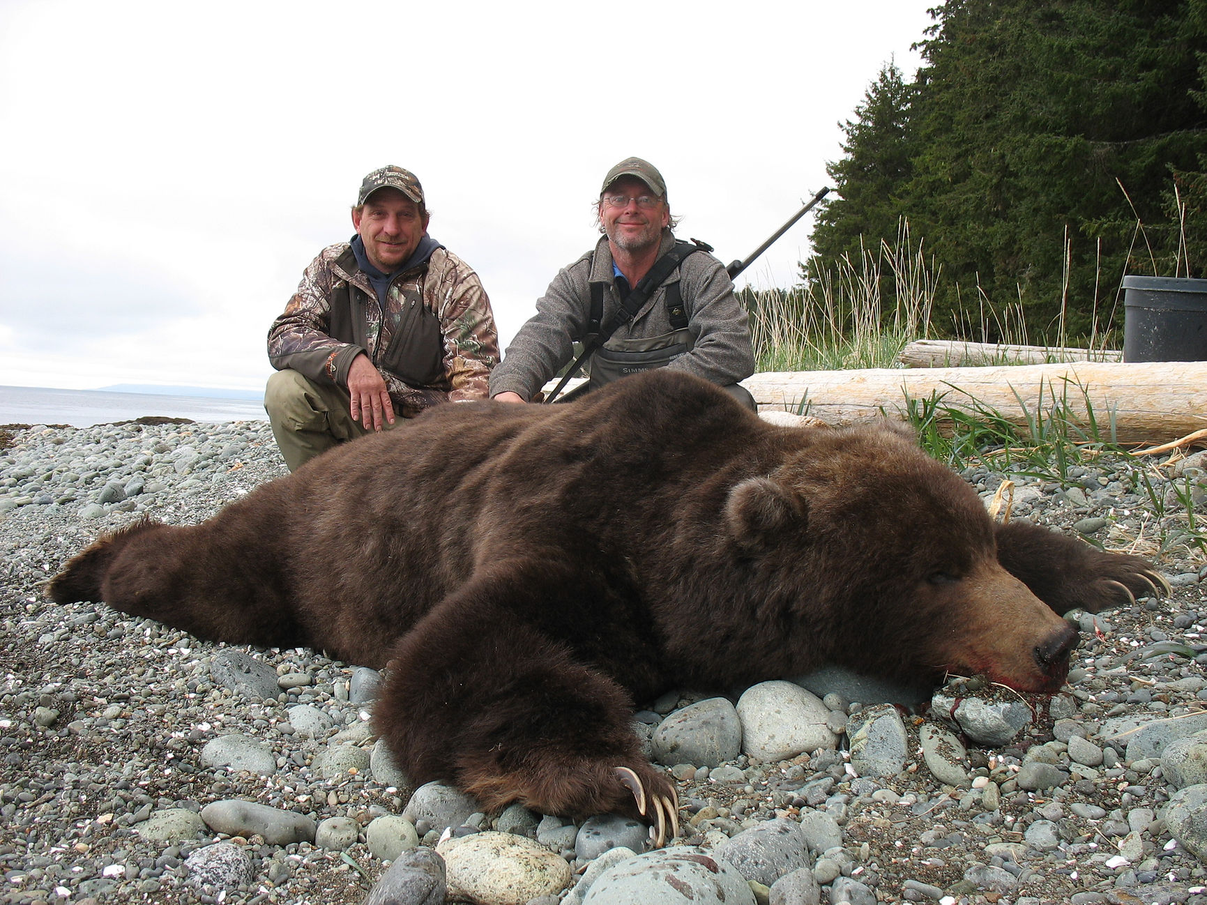 Brown Bear Hunting - Shoshone Adventures