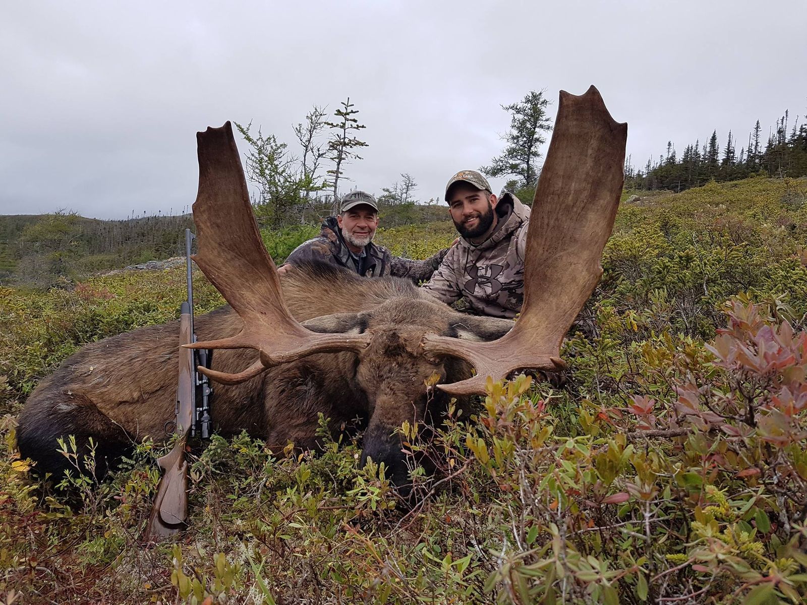 Moose Hunting - Shoshone Adventures