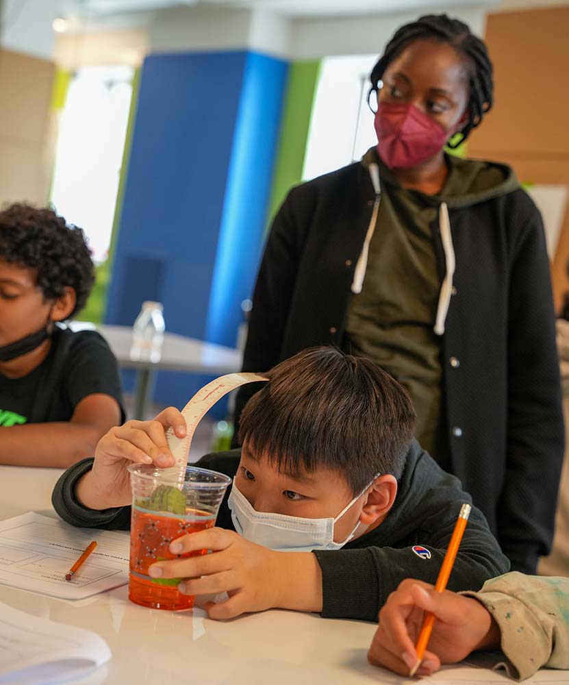 STEAM Learning Institute