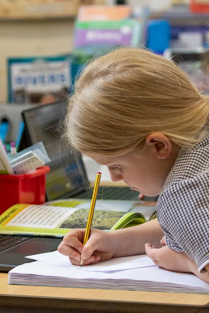 Curriculum | Exford First School