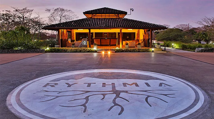 My Ayahuasca Experience: Final Day. The Truth About Rythmia