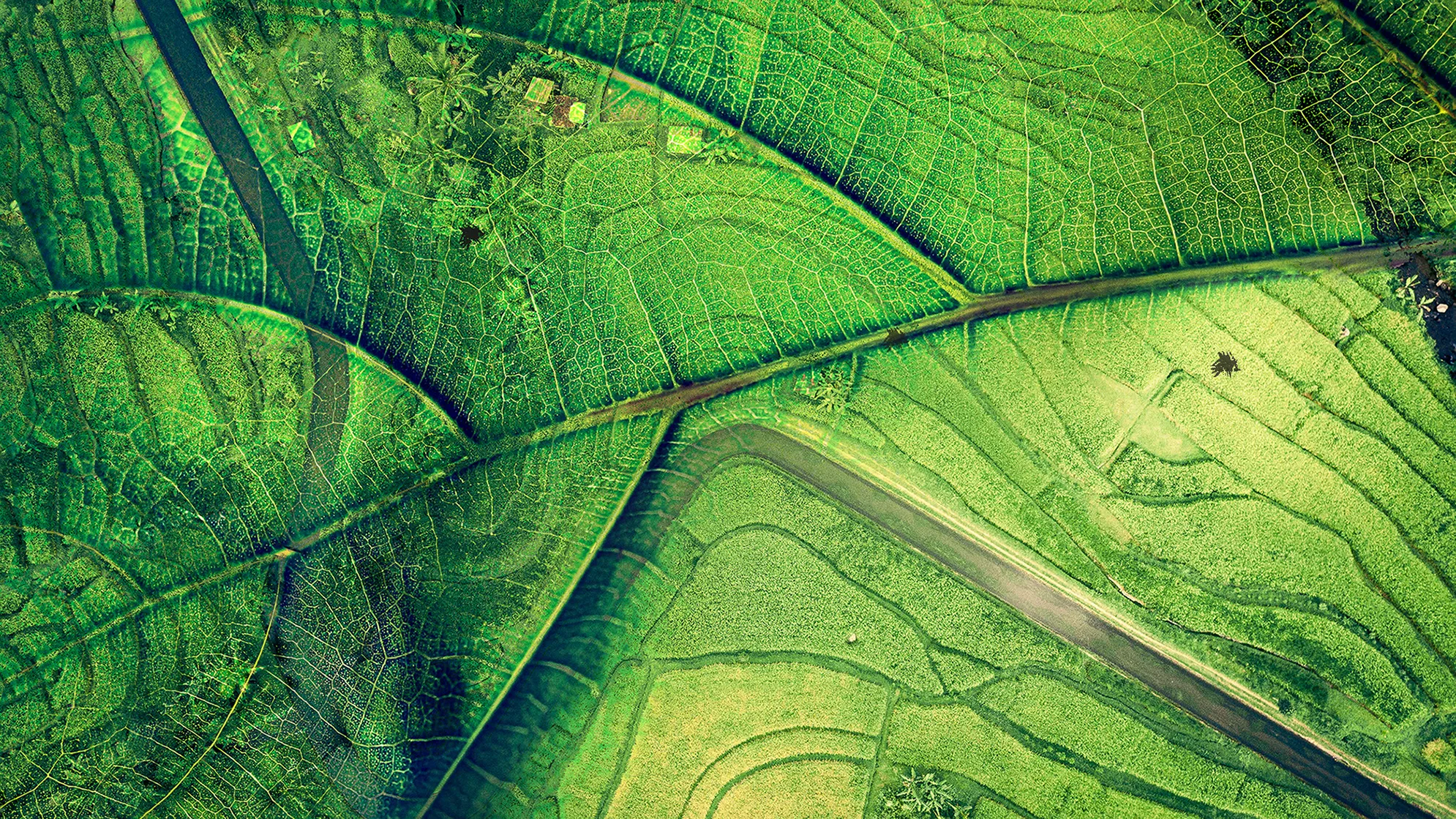 Home [www.climateimpactx.com]