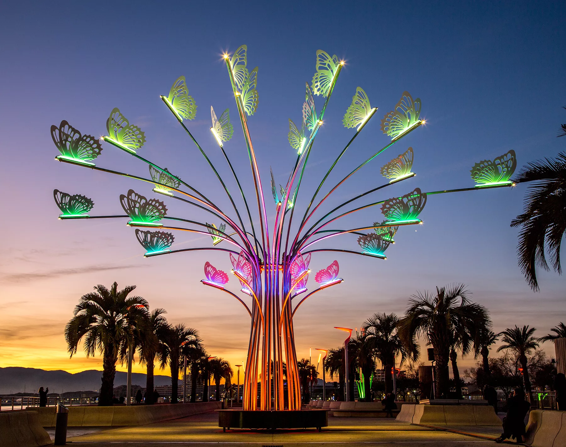 Butterfly tree - TILT light designers