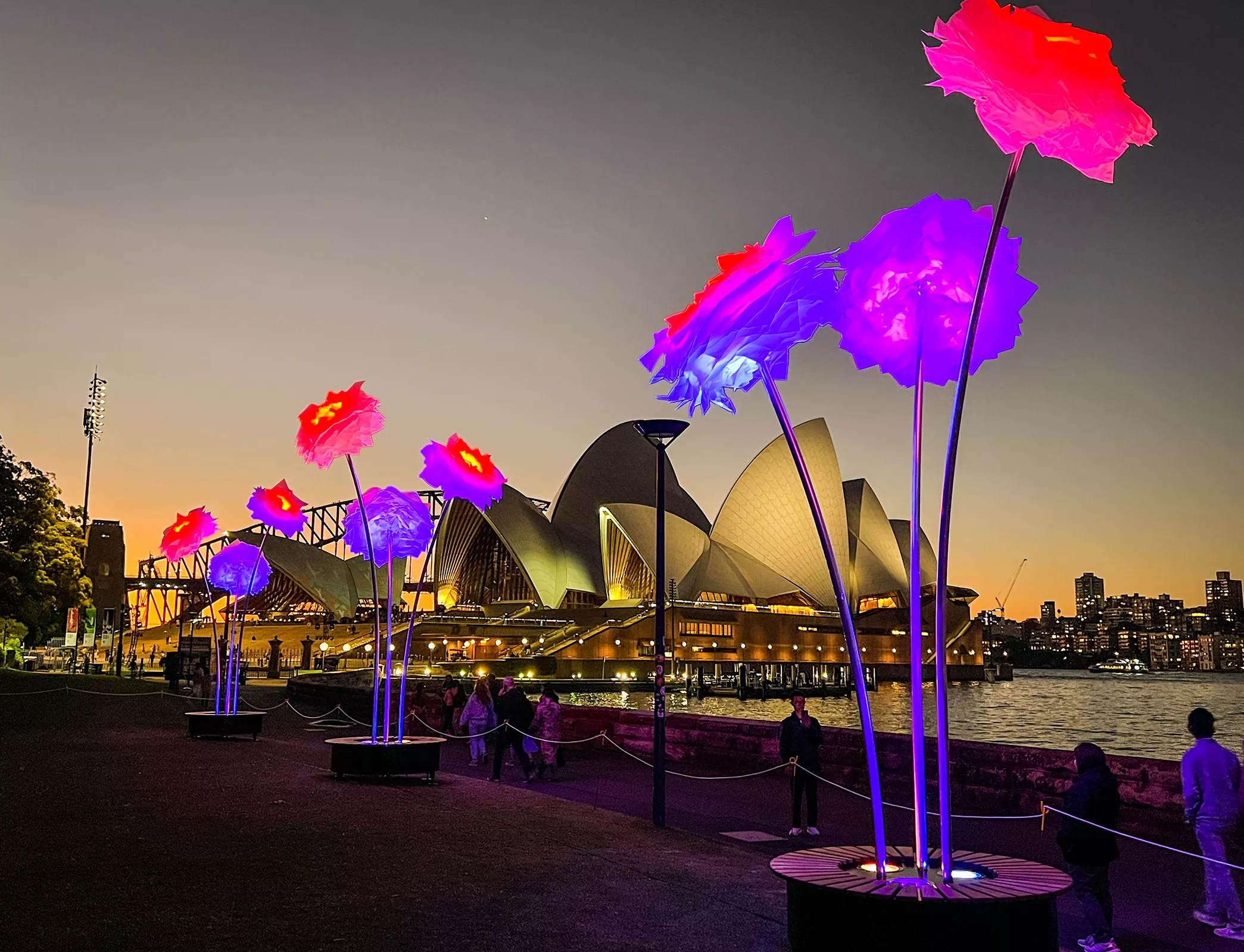 Peony colors - TILT light designers