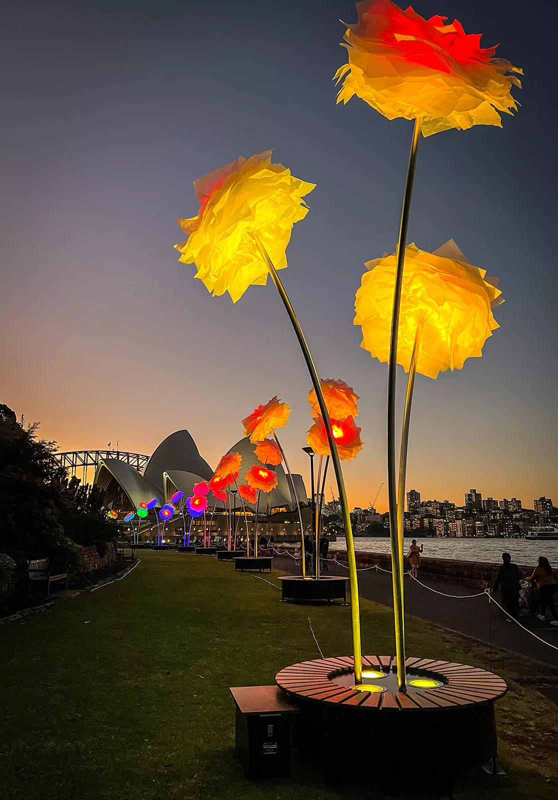 Peony colors - TILT light designers