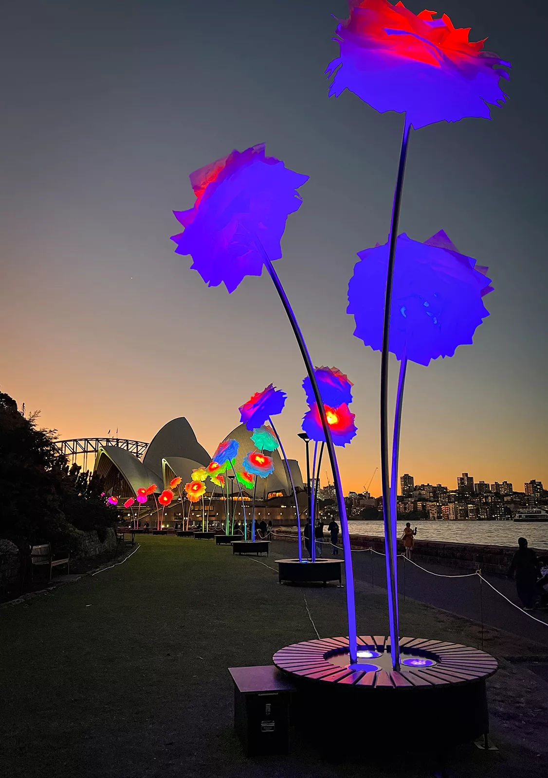 Peony colors - TILT light designers