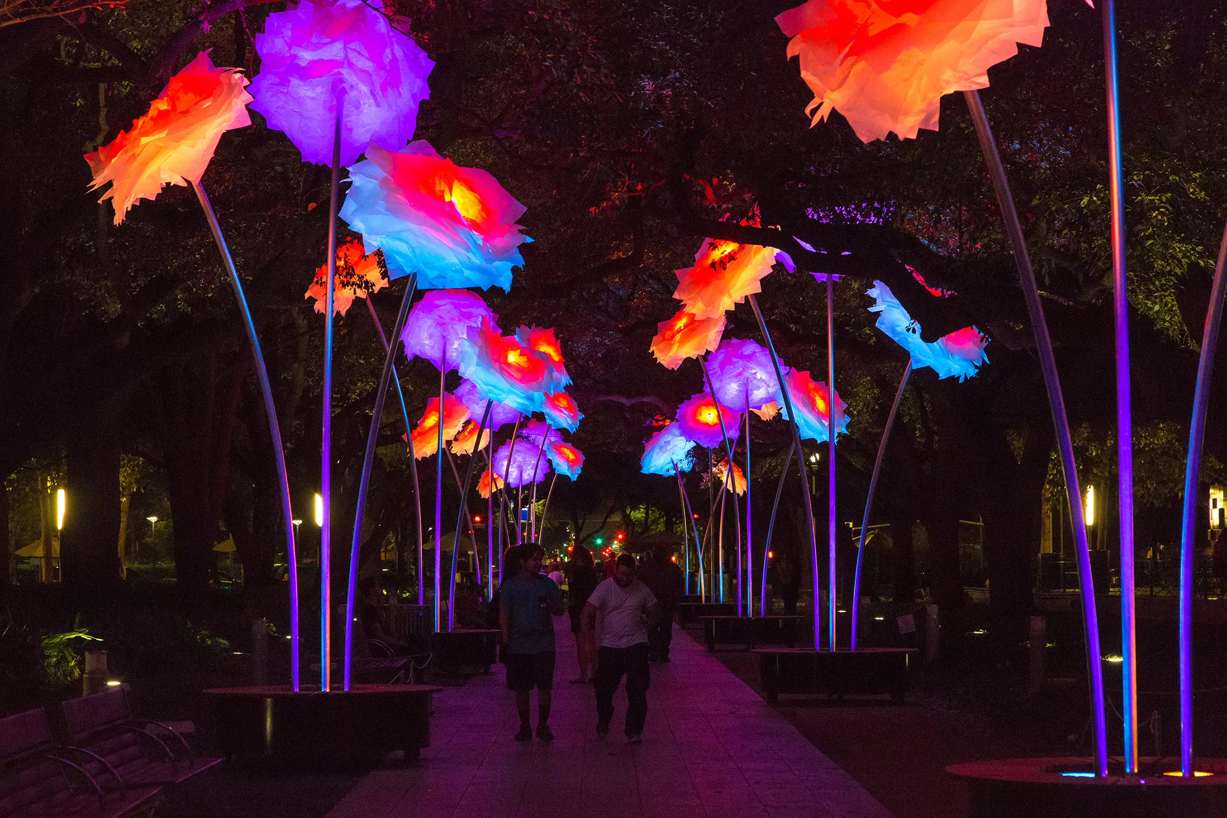 Peony colors - TILT light designers