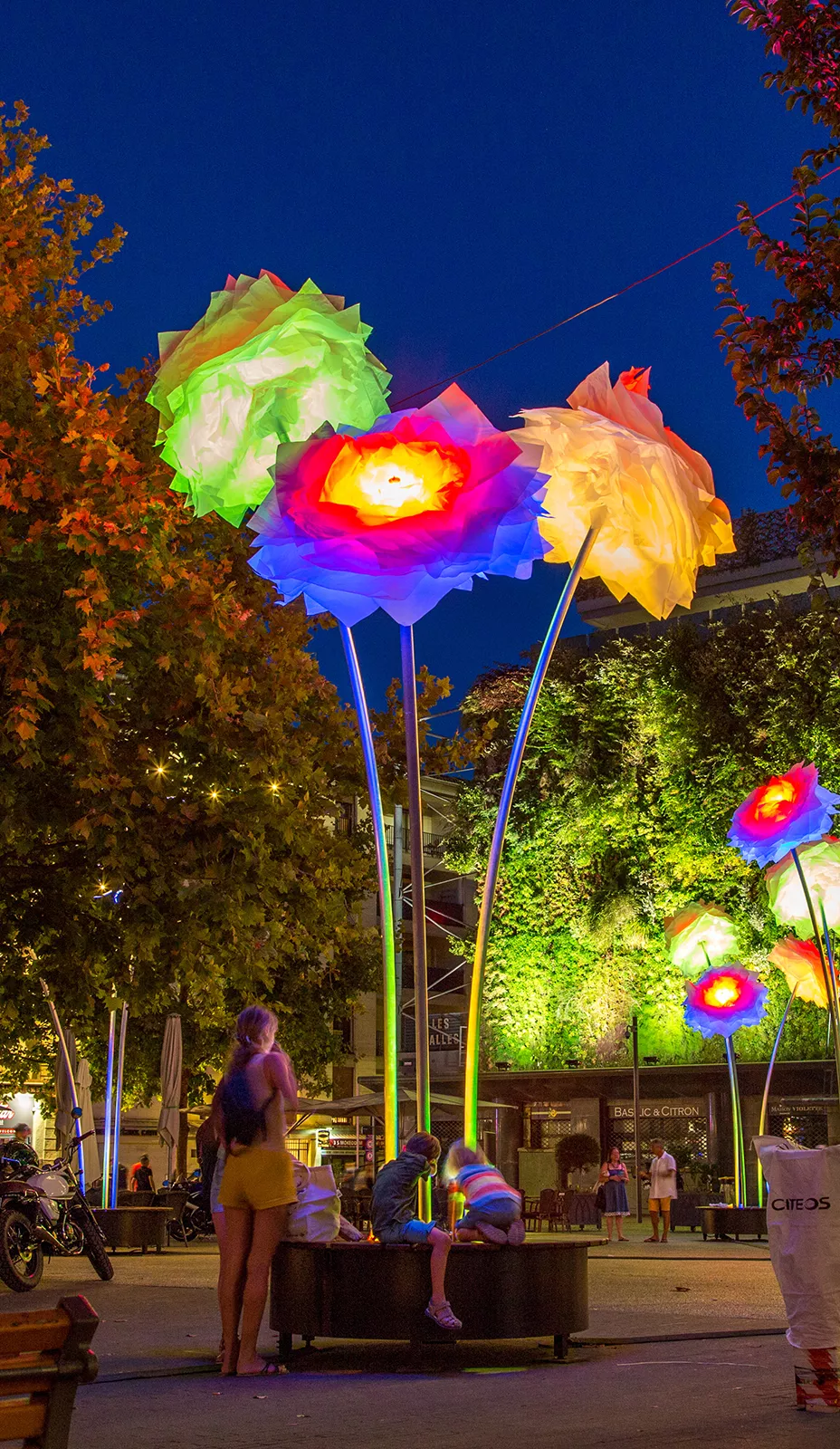 Peony colors - TILT light designers